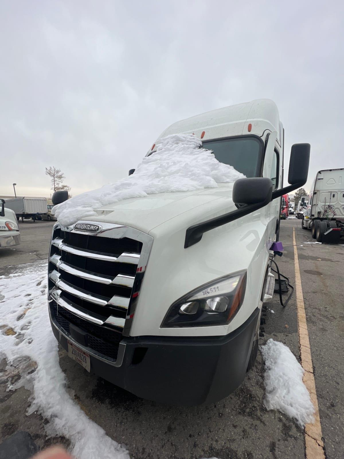Freightliner NEW CASCADIA PX12664 Trucks For Sale
