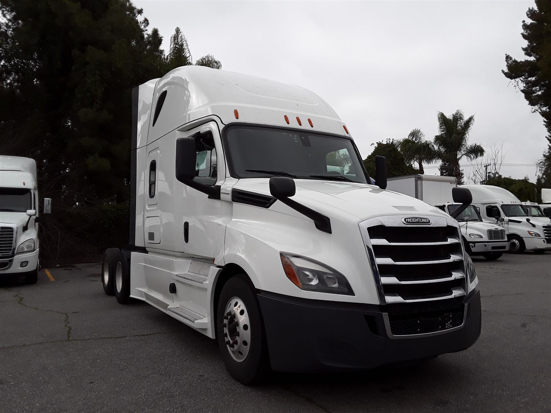 Freightliner NEW CASCADIA PX12664 Trucks For Sale